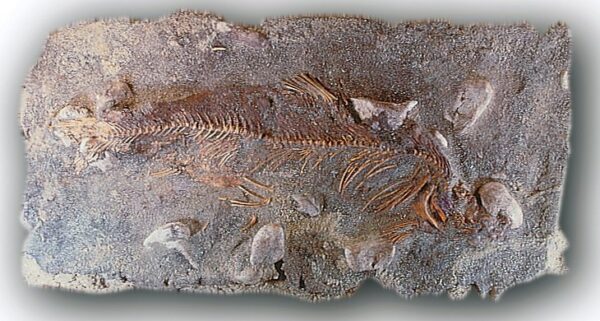 Ice Fishing at Michilimackinac - Mackinac State Historic Parks