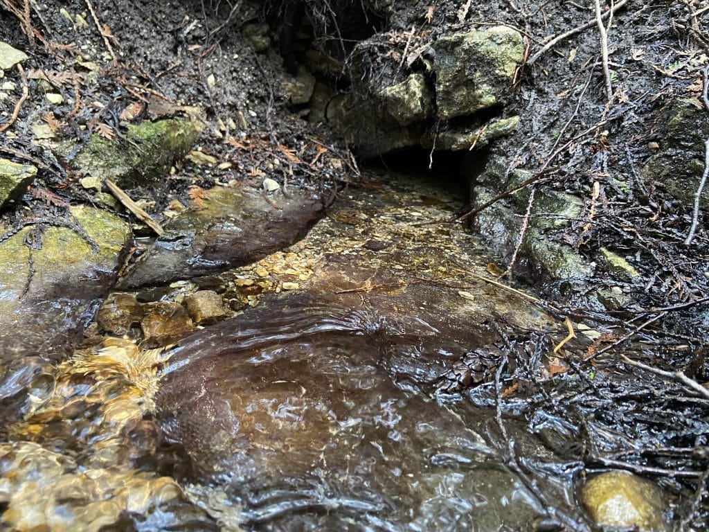 Natural Springs of Mackinac Island - Mackinac State Historic Parks