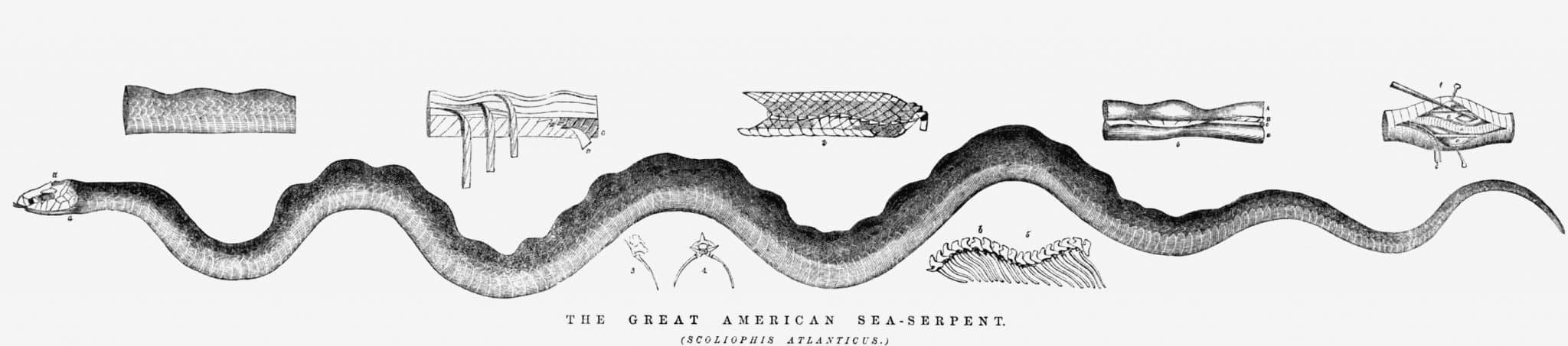 The Sea Serpent at Mackinac - Mackinac State Historic Parks