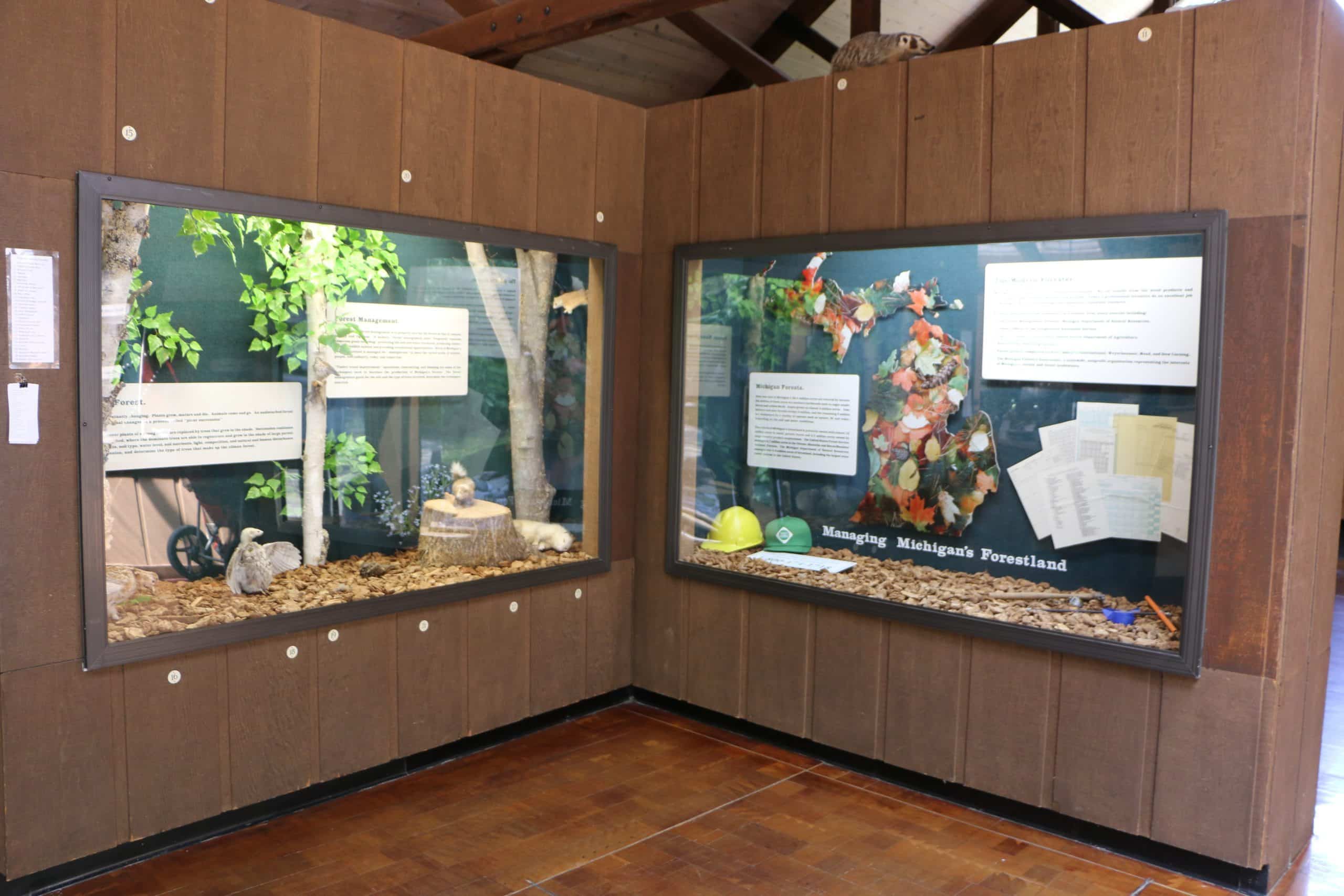 The Mill Creek Mystery - Mackinac State Historic Parks