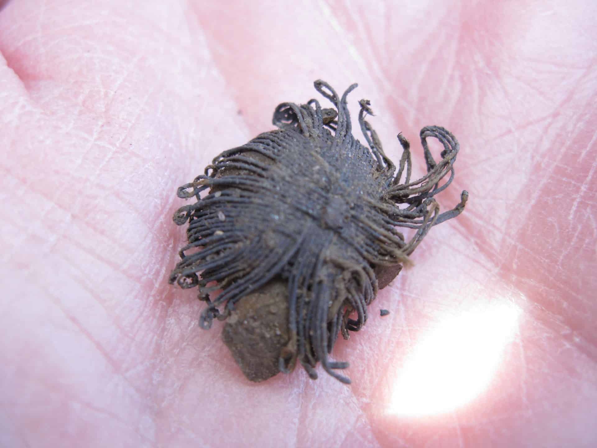 Metallic Thread-Wrapped Button - Mackinac State Historic Parks